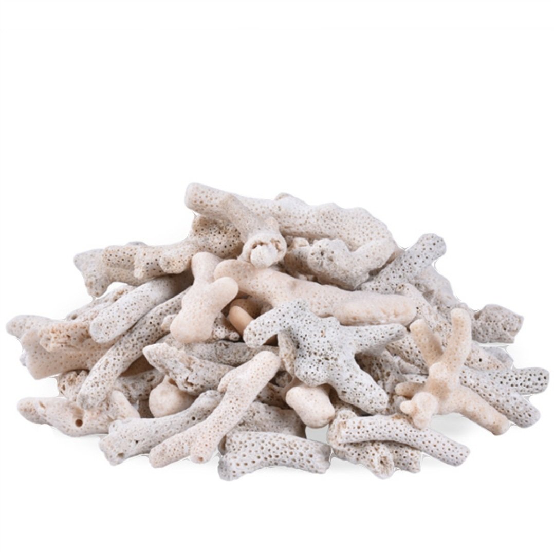 Corals Your One-Stop Shop for Artificial Grass, Composite Decking ...